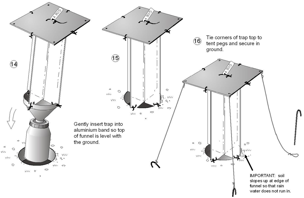Ecological Archives A021-140-A1