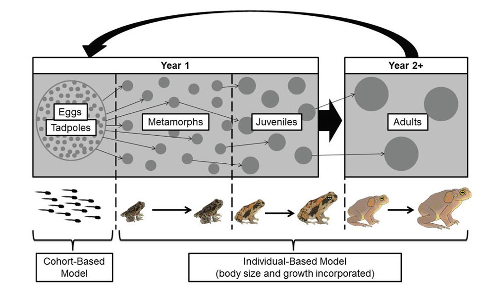 Ecological Archives A023-080-A1
