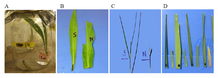Ecological Archives E086-085-A2