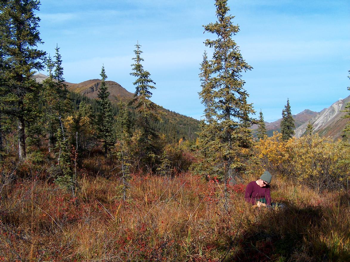 Ecological Archives E092-043-A2