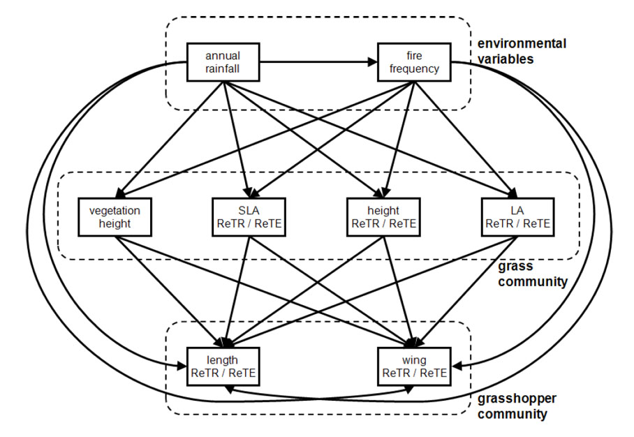 Ecological Archives E093-074-A3