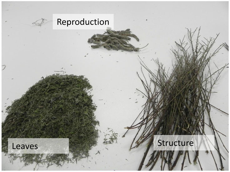 Ecological Archives E094-230-A1