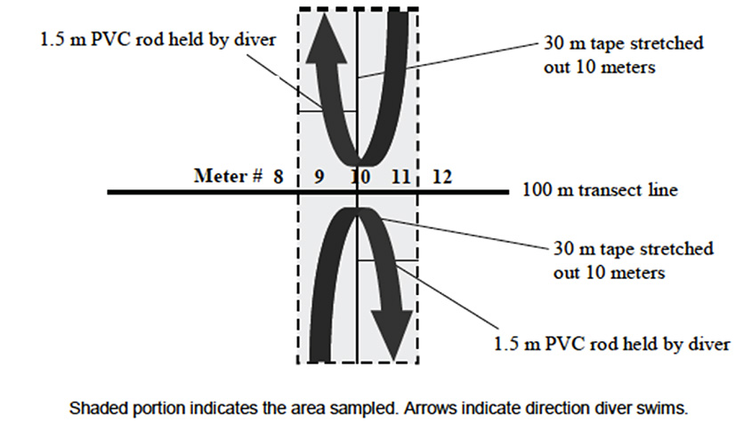 Ecological Archives E094-245-metadata